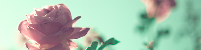 ¿Qué dice la Biblia acerca del Amor? | Artículo Explora a Dios