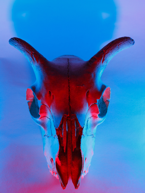 Who Created Satan? | Explore God Article