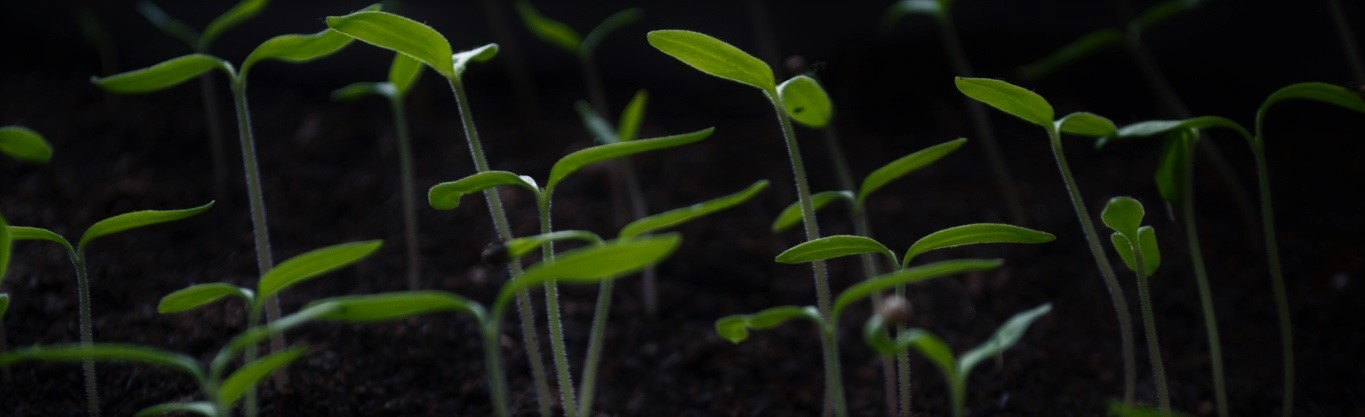 Grow Spiritually | Explore God